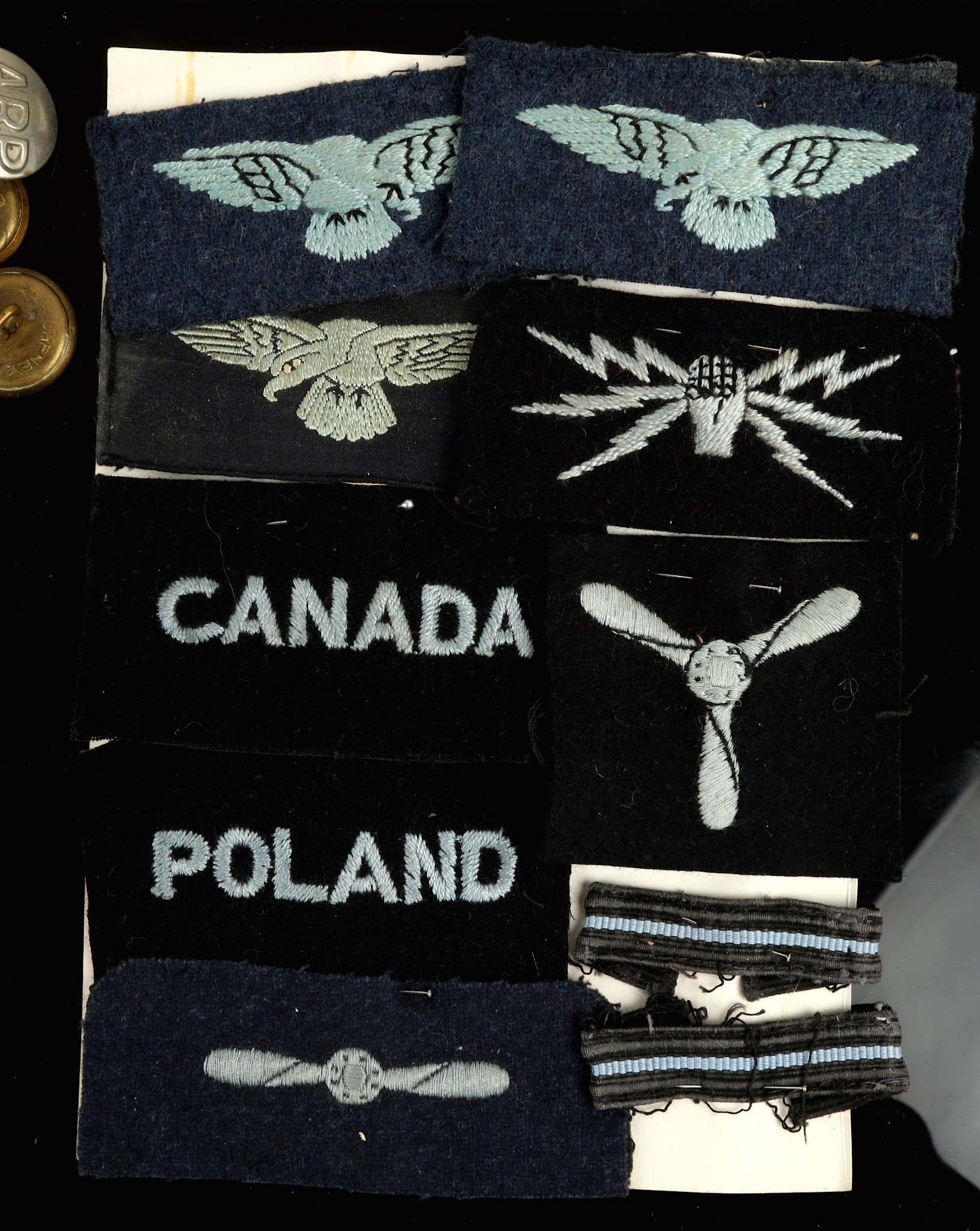 Royal Air Force badges, bullion, cloth trade badges, RAF PTI (Physical ...