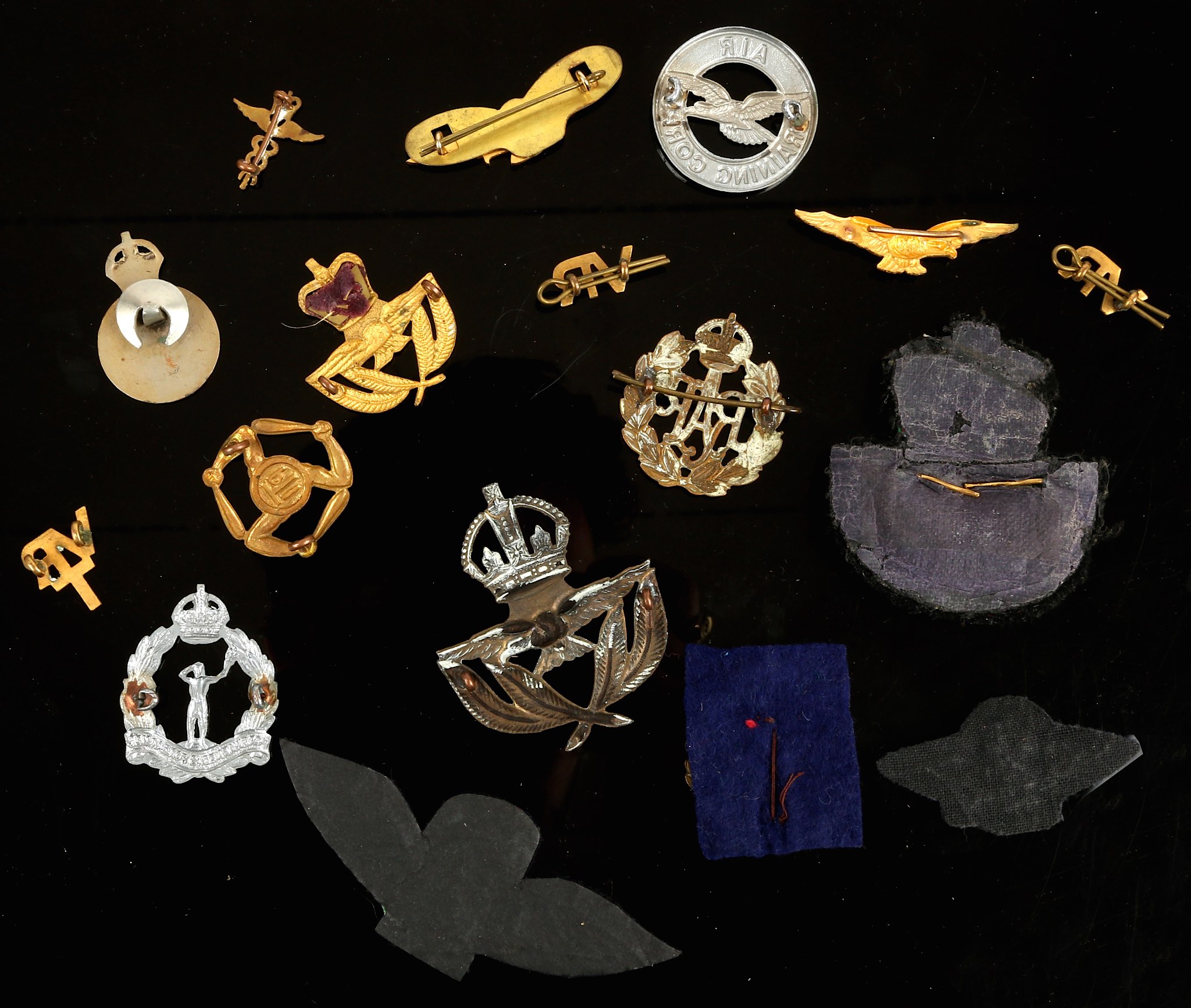 Royal Air Force badges, bullion, cloth trade badges, RAF PTI (Physical ...