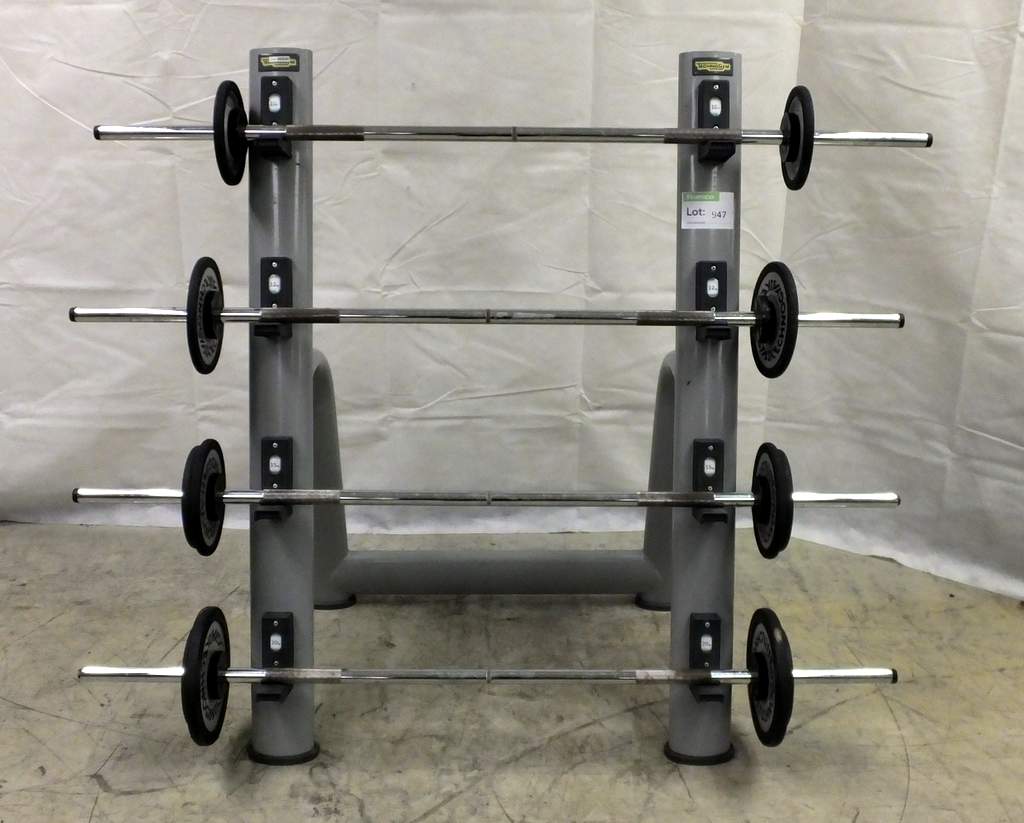 Technogym 4 Piece Barbell Set With Rack 10kg - 20kg - Good overall ...