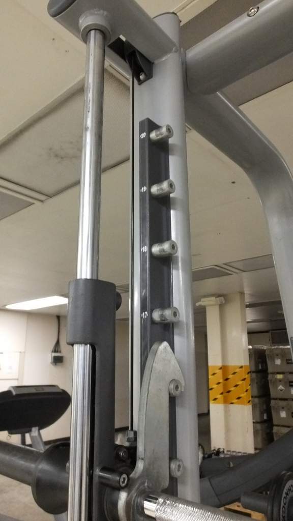 Technogym Multipower Smith Machine With Adjustable Bench & 4x 2.5kg, 4x ...