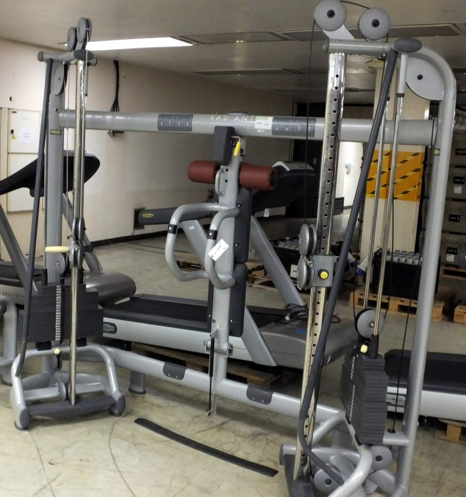 Technogym Radiant 2SC Multifunction Cable Machine - Folding bench ...