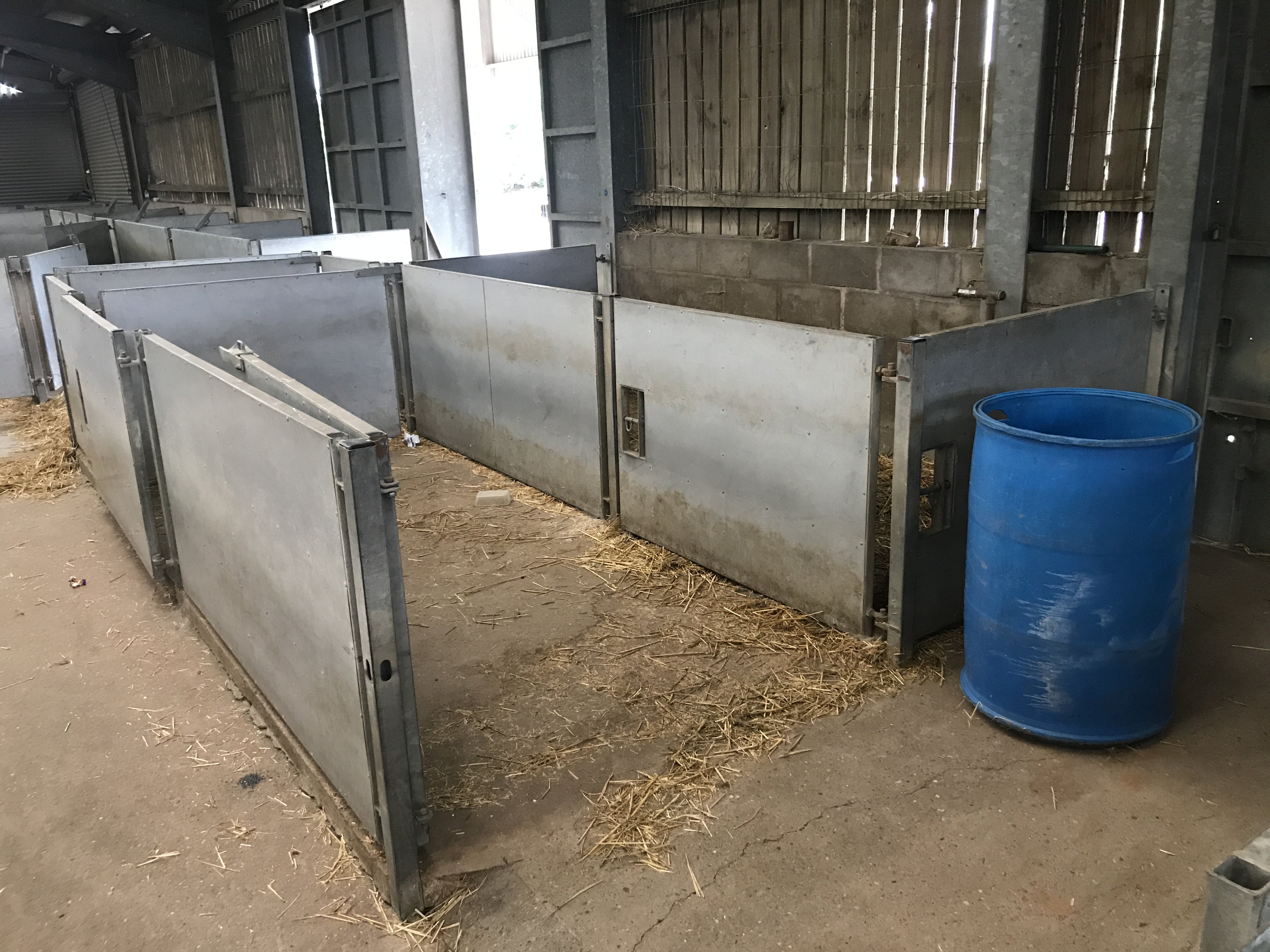 Approx. 10 Galvanised Steel Sheep Pen Gates & 3 Panels (in one section ...
