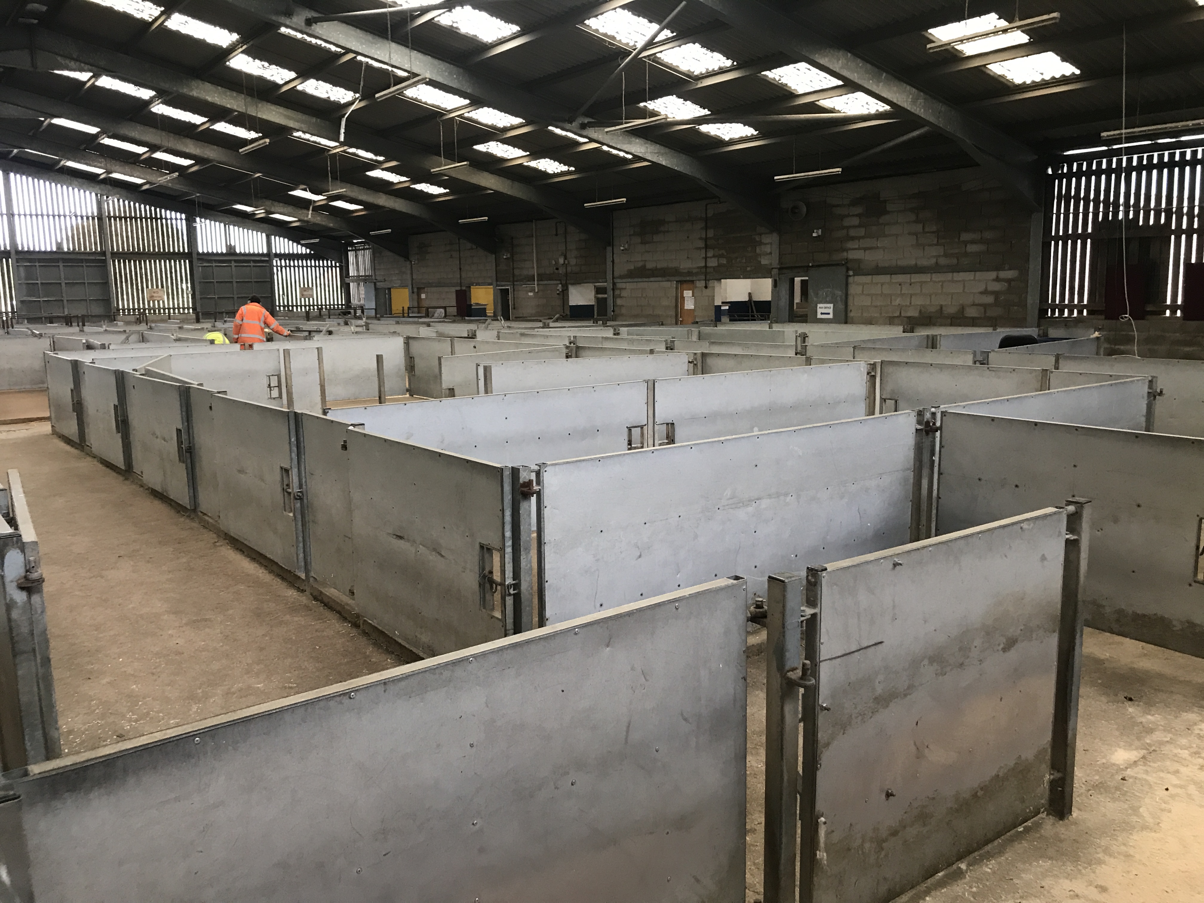 Approx. 18 Galvanised Steel Sheep Pen Gates & 14 Panels (in one section ...