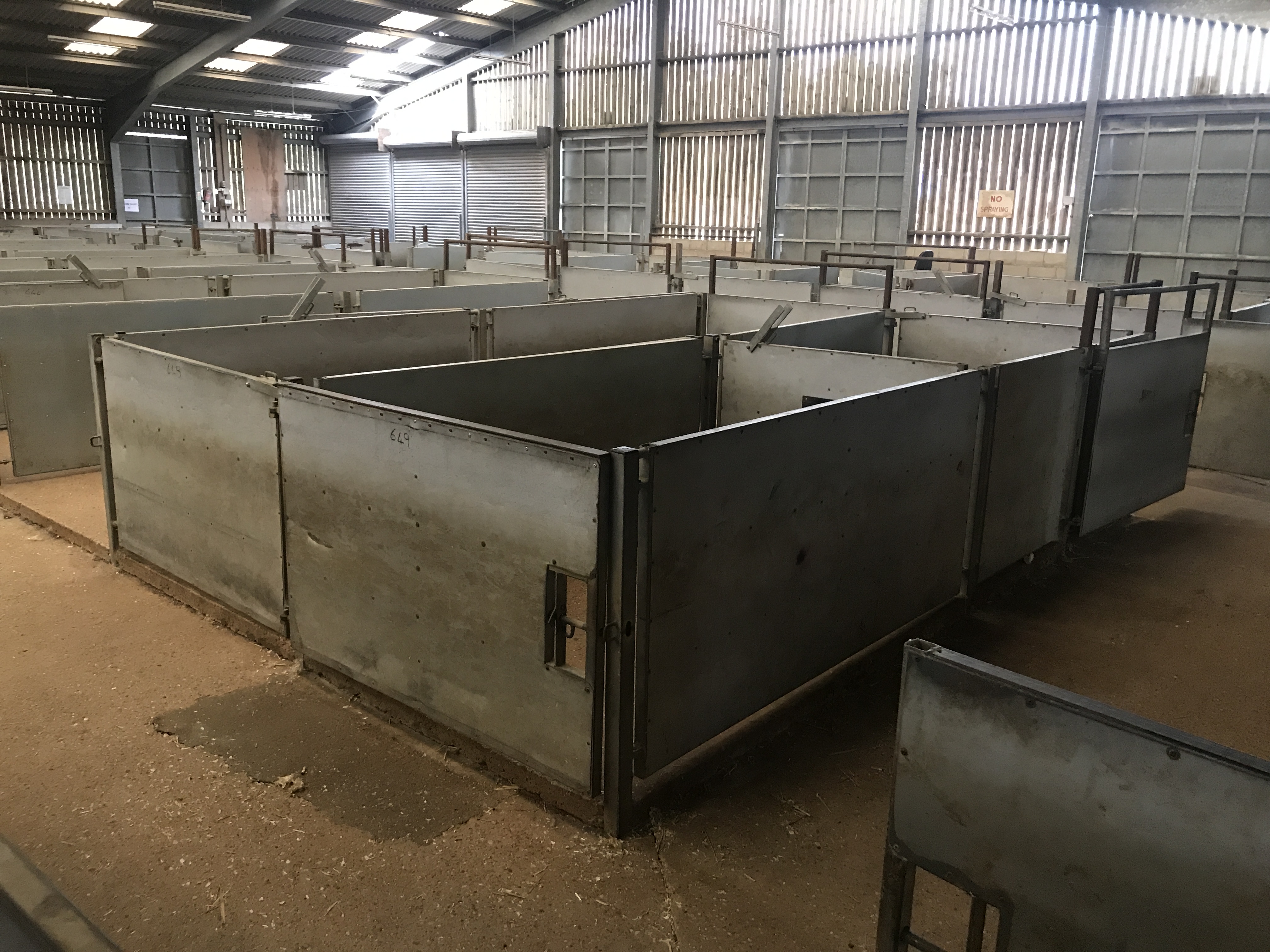 Approx. 38 Galvanised Steel Sheep Pen Gates & 26 Panels (in one section ...