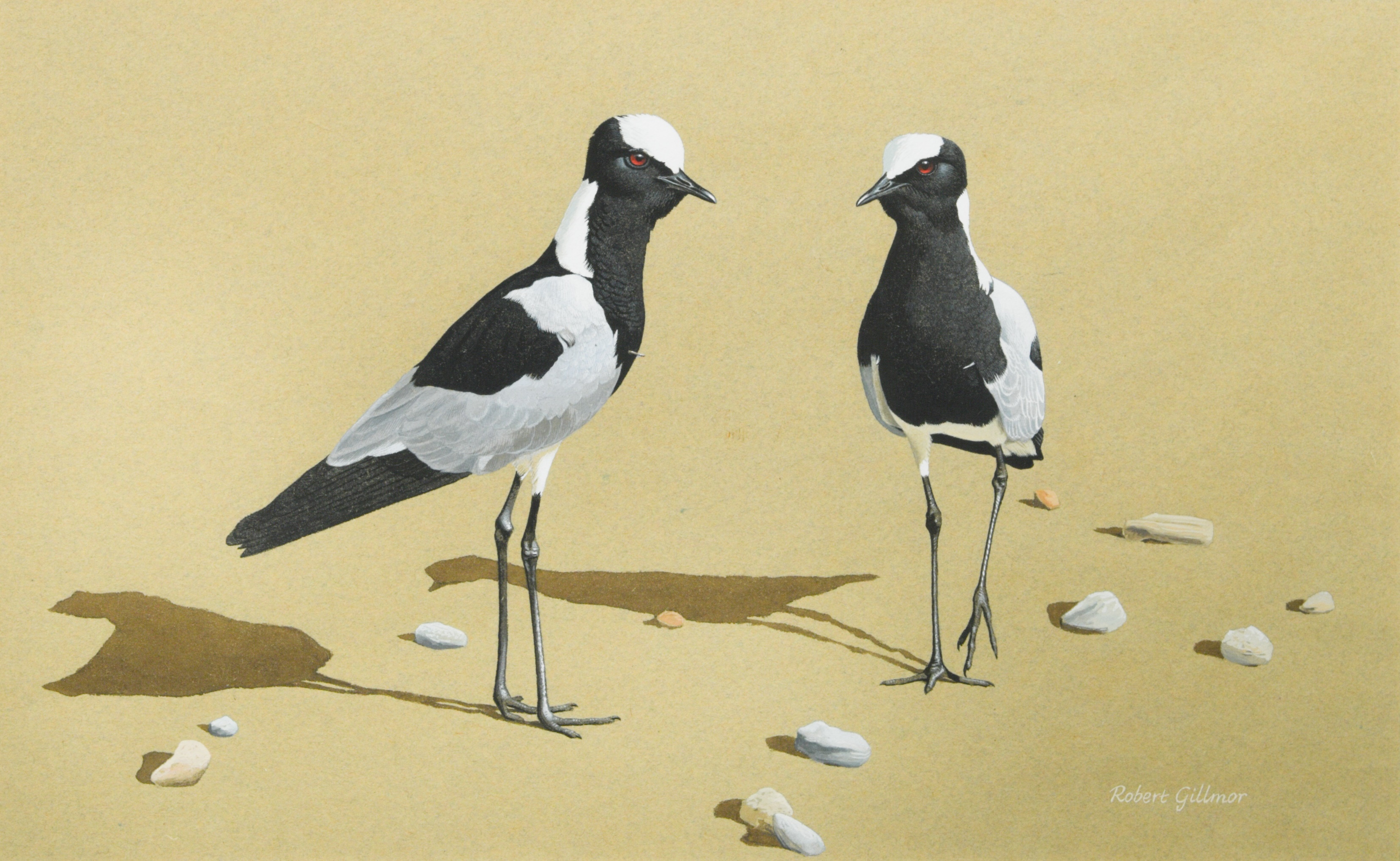§ Robert Gillmor (British 1936-) in - Cheffins Fine Art