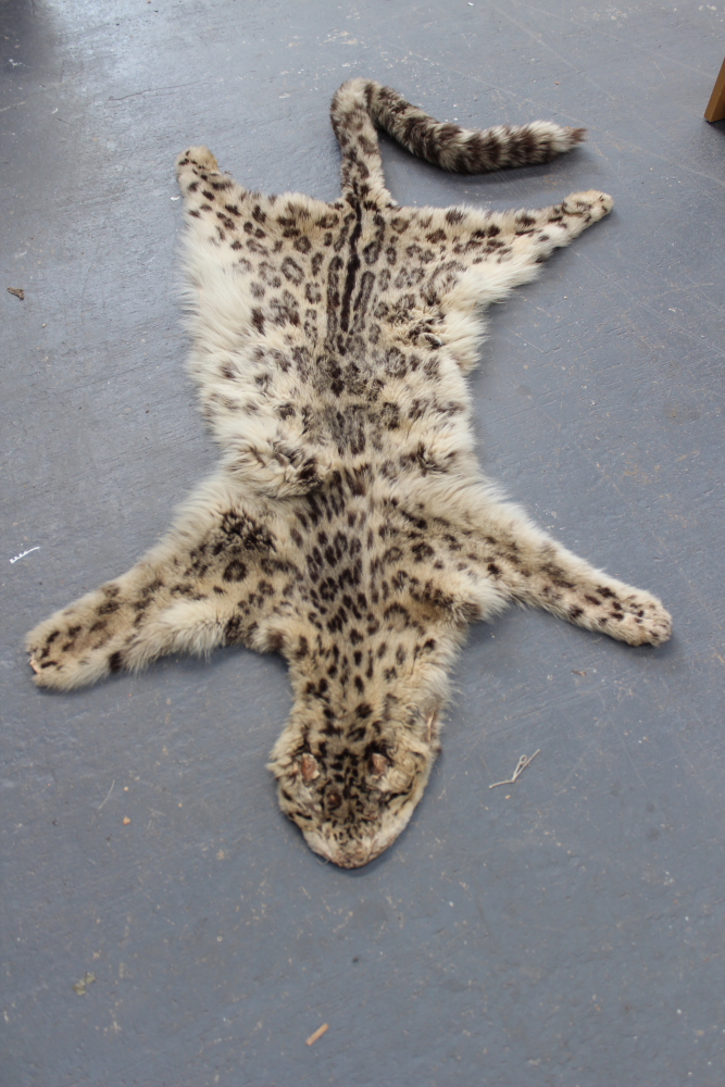 A large antique snow leopard pelt.