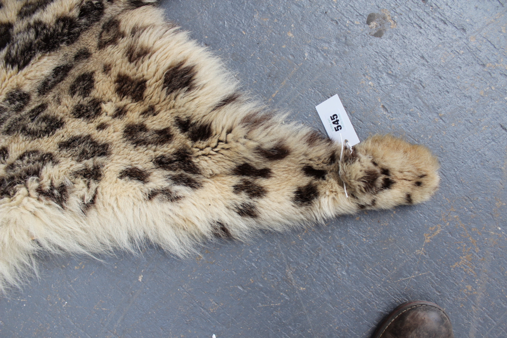 A large antique snow leopard pelt.