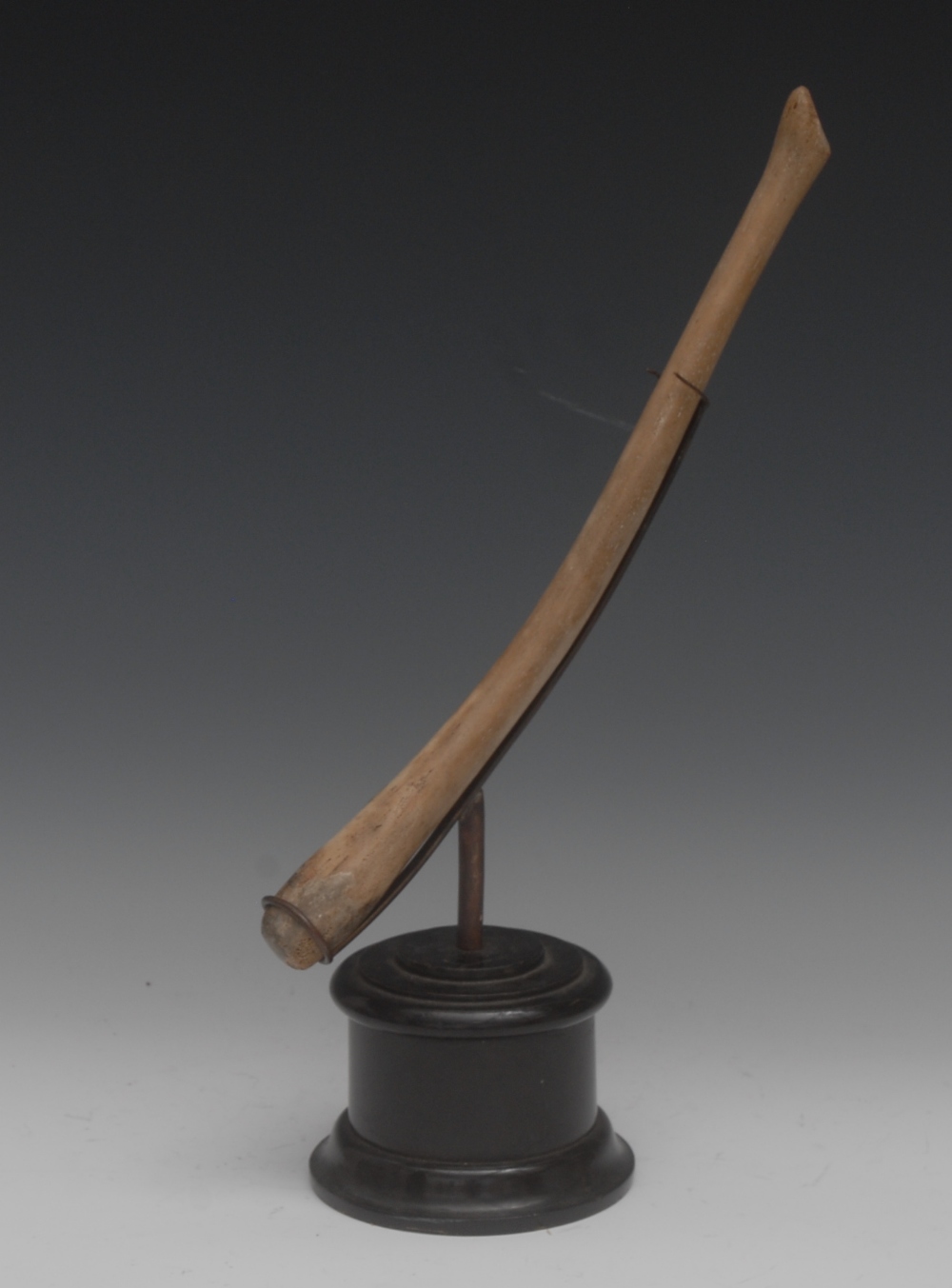 Tribal Art - an Inuit oosik club or baculum (fossilized walrus penile ...