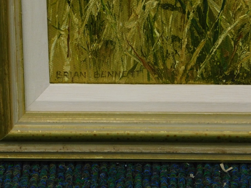 Brian Bennett (b.1927). Floral study, oil on canvas, signed, 24.5cm x 19cm