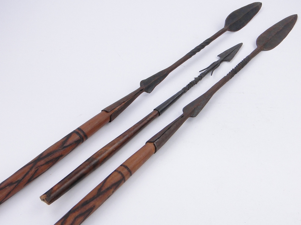 2 African spears, longest 57.5" and a fishing spear, (3).