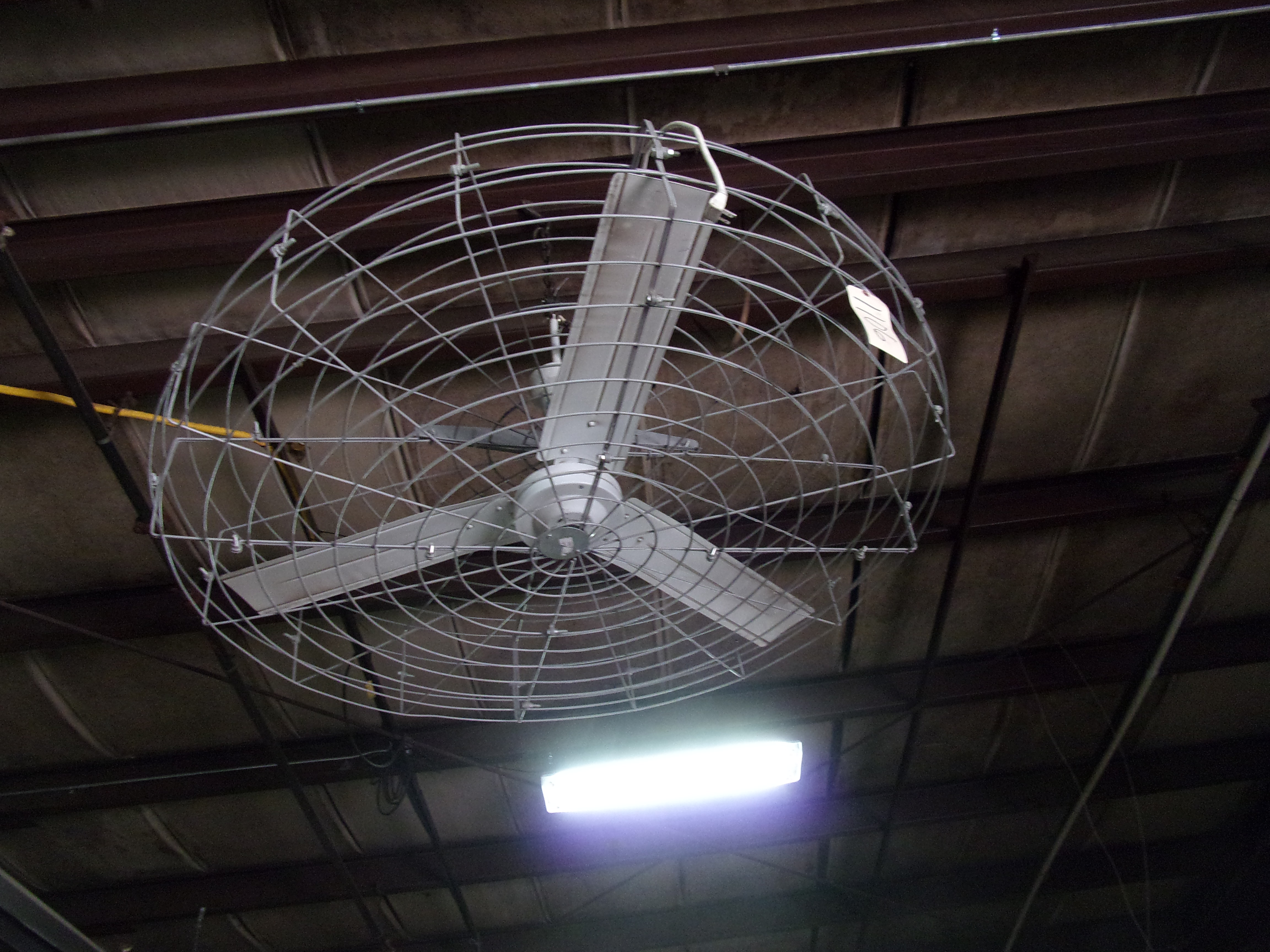 Large Fan