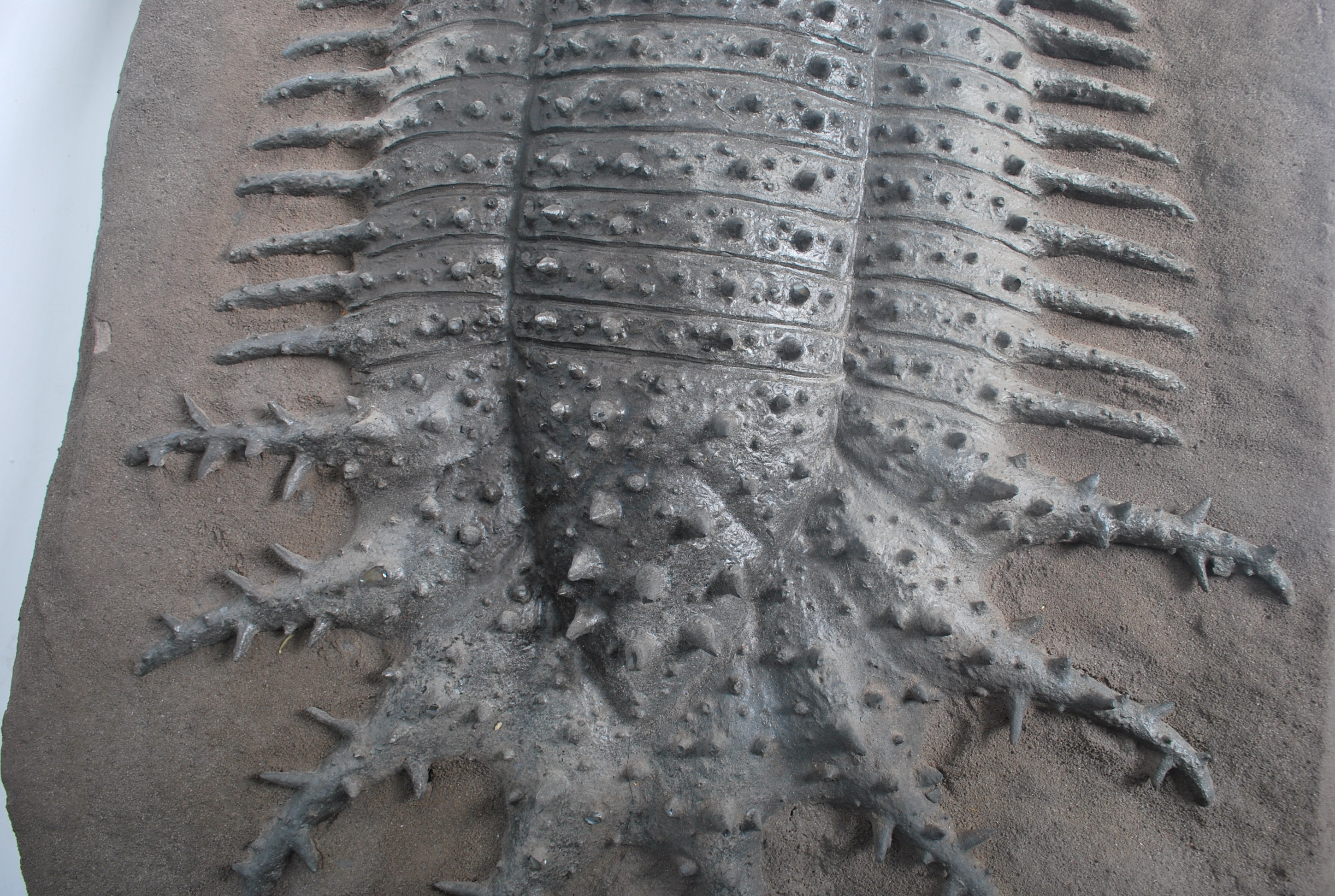 An unusual 20th century museum made large fibre glass cast of ...