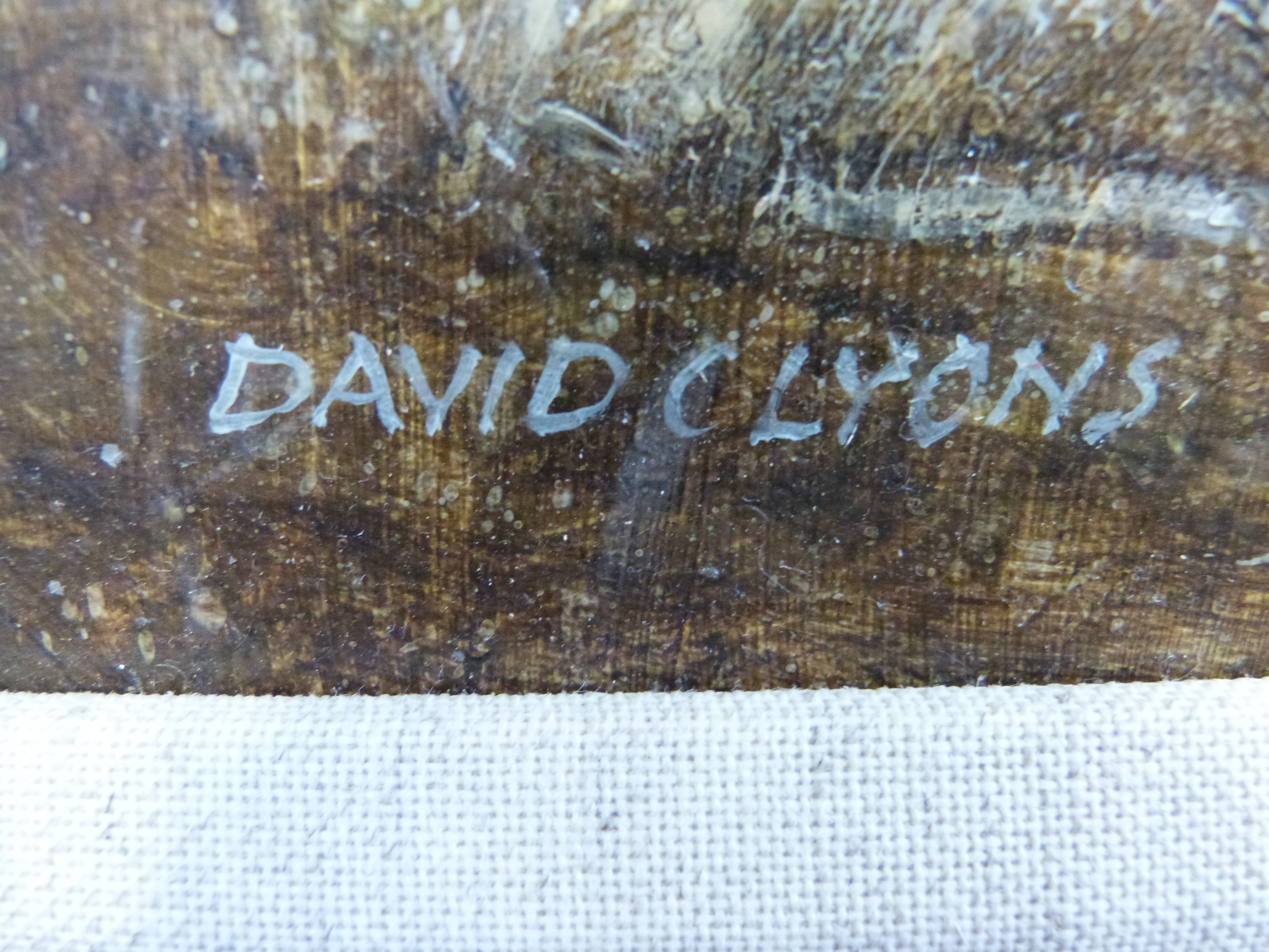 David C Lyons: Oil on board of two cats (60 x 80cm)