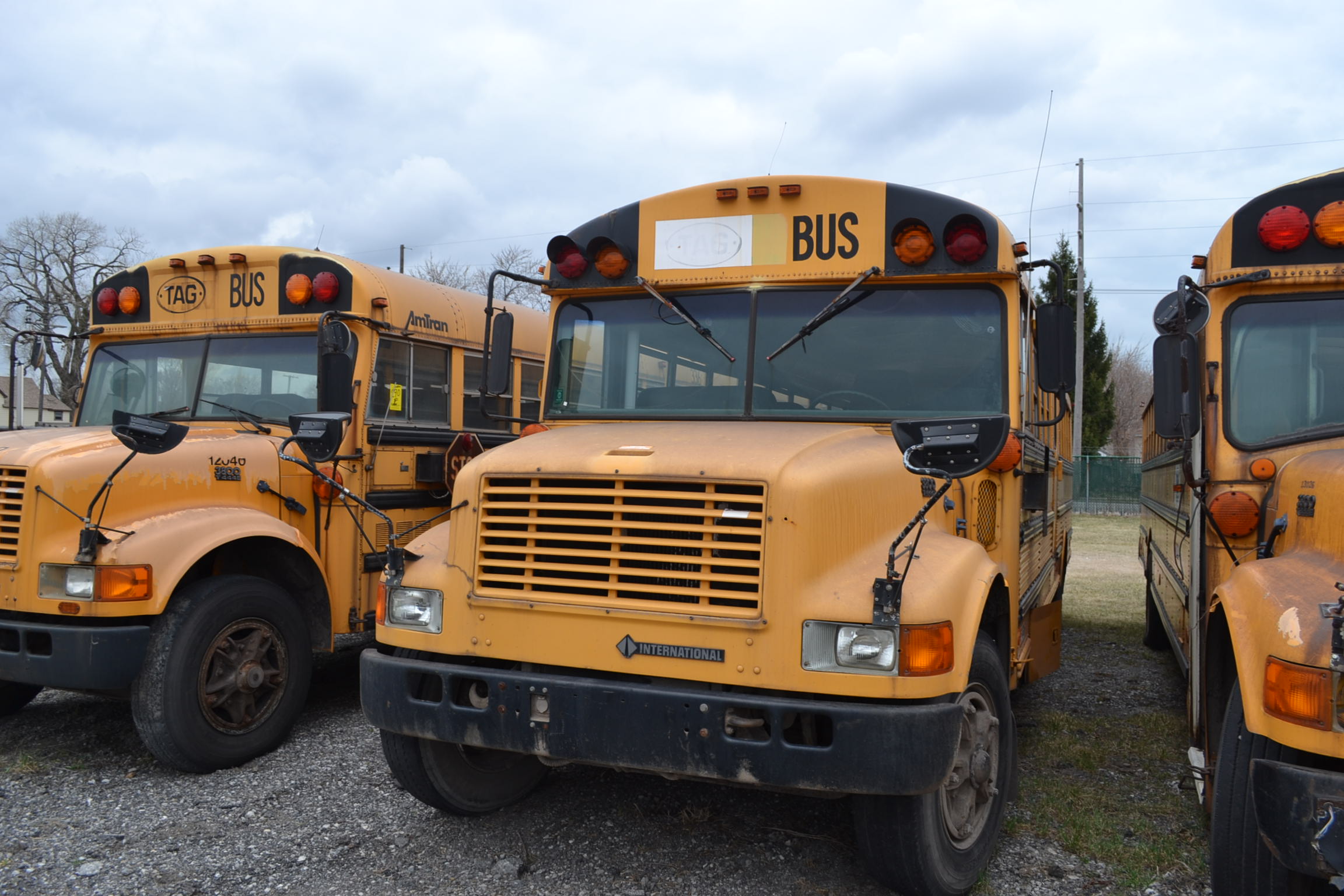 1996 International Thomas 3800T444E Blue Bird School Bus, VIN ...
