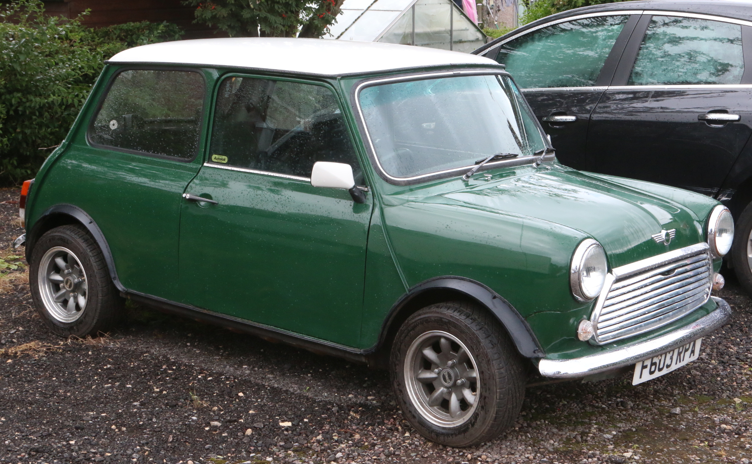 1989 Austin Mini Racing Flame two door saloon reg F603RPA in British ...