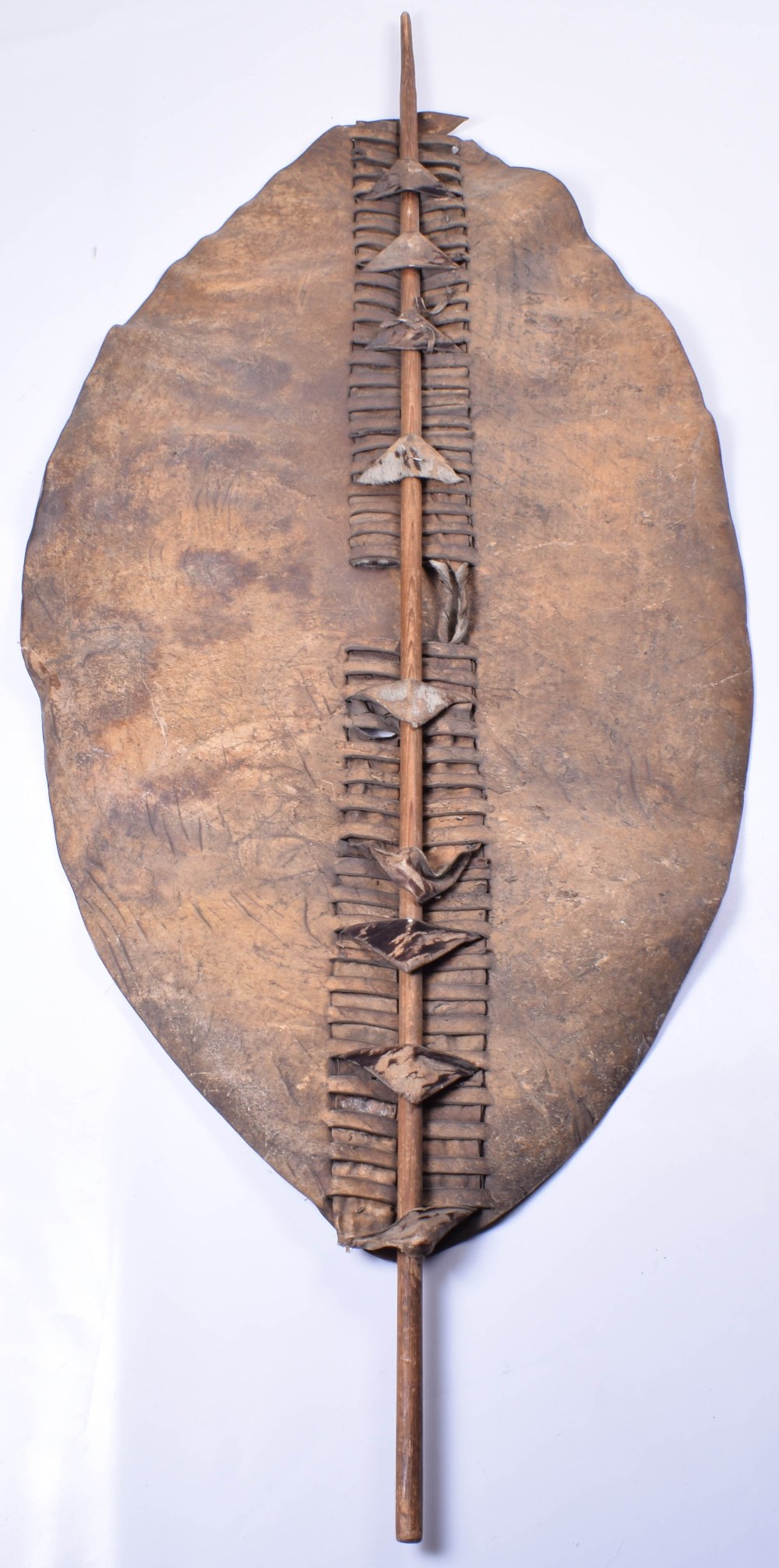 Rare 1870’s Zulu Warriors Large Battle Shield “Isihlangu”, very good ...