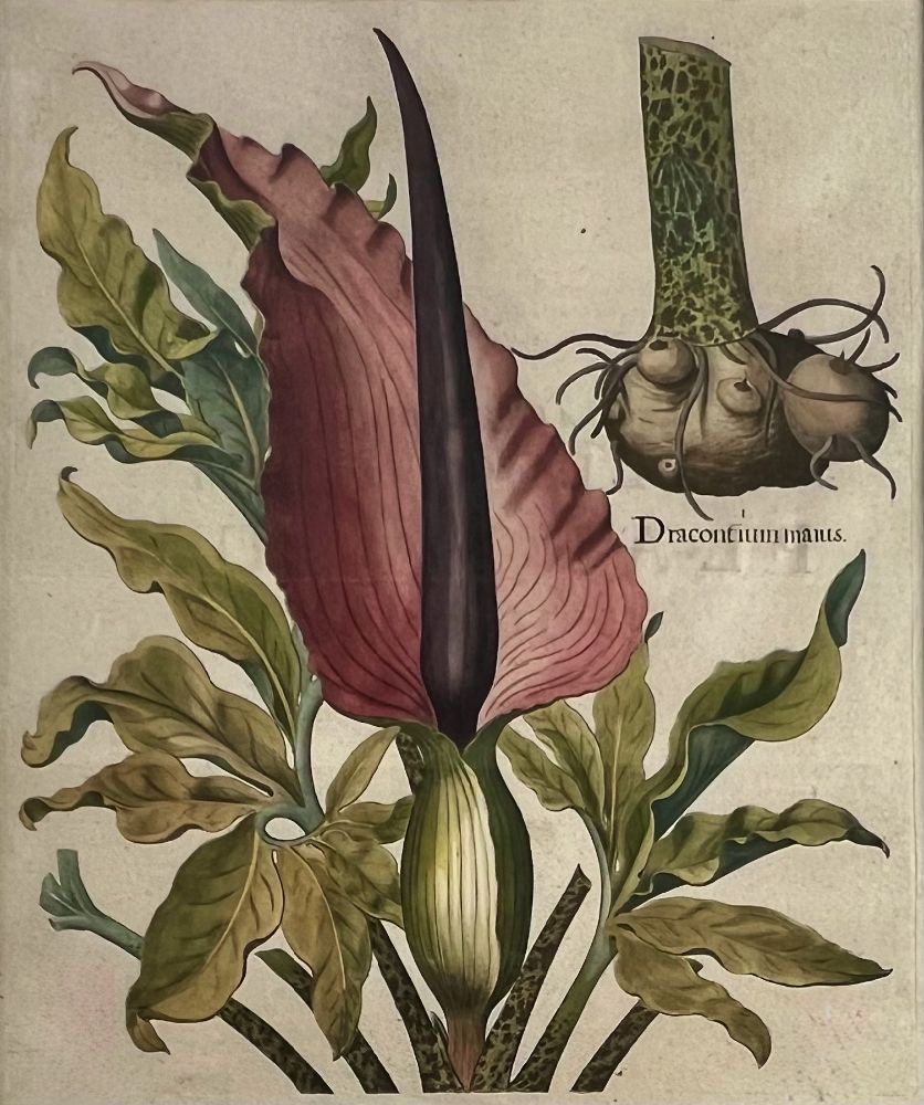 Auktionshaus Bad Homburg | Aftersale with buy it now prices: Auction ...