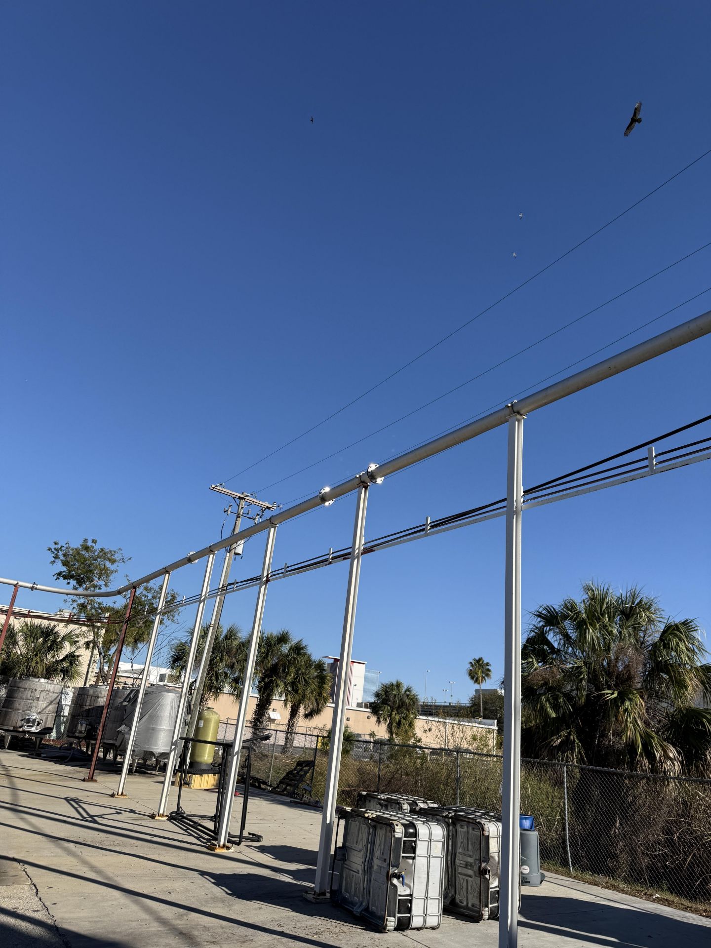 Stainless Steel Spent Grain Piping From Spent Grain Pump to Silo, 6 ...