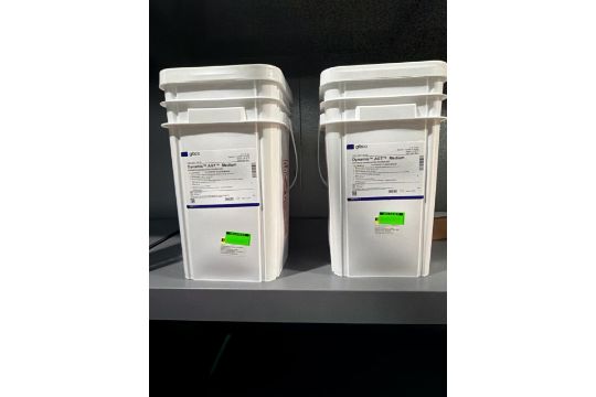 Gibco Dynamis AGT Medium Solutions