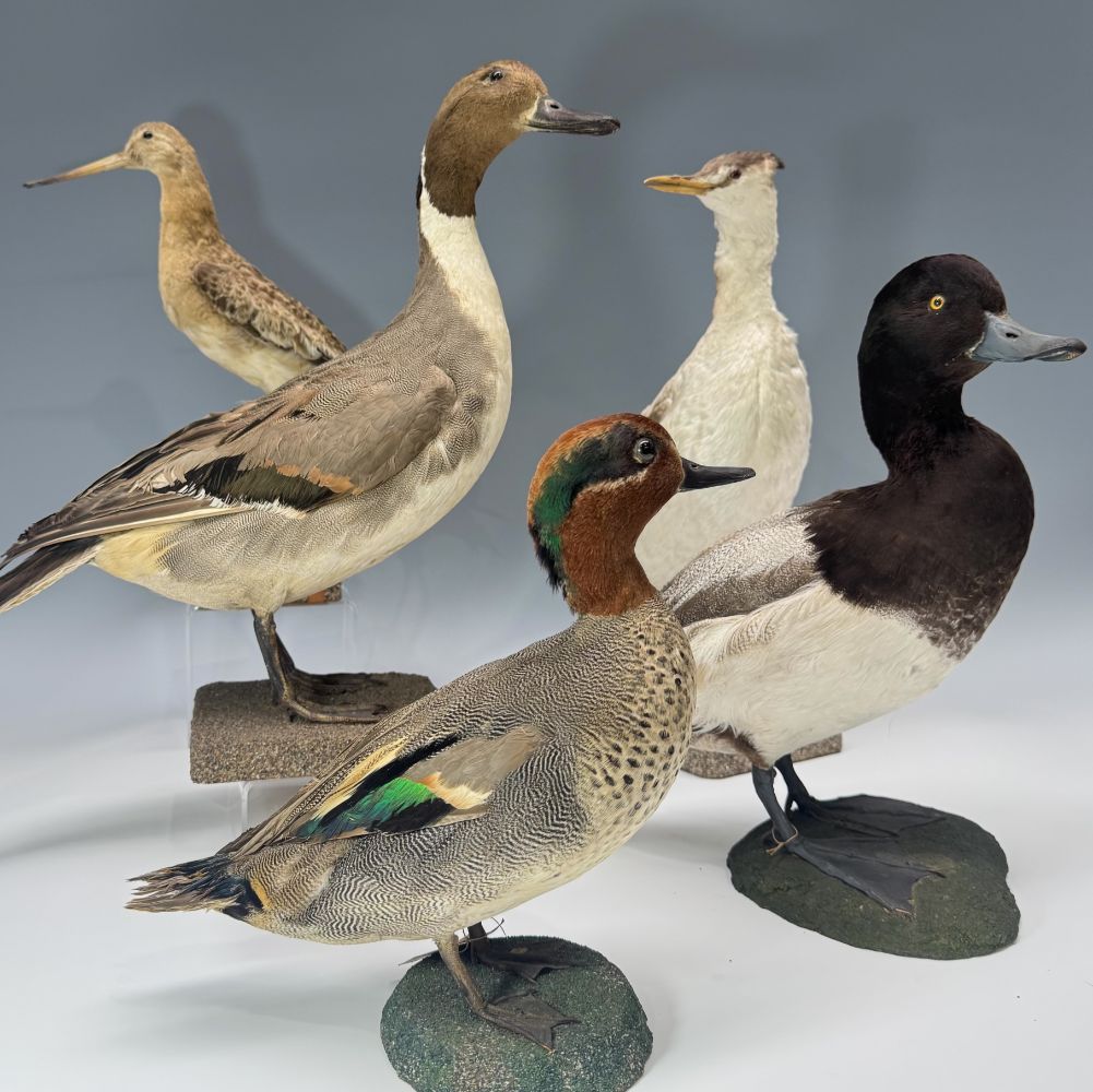 Kinghams Auctioneers | Cotswold Interiors & Collectables