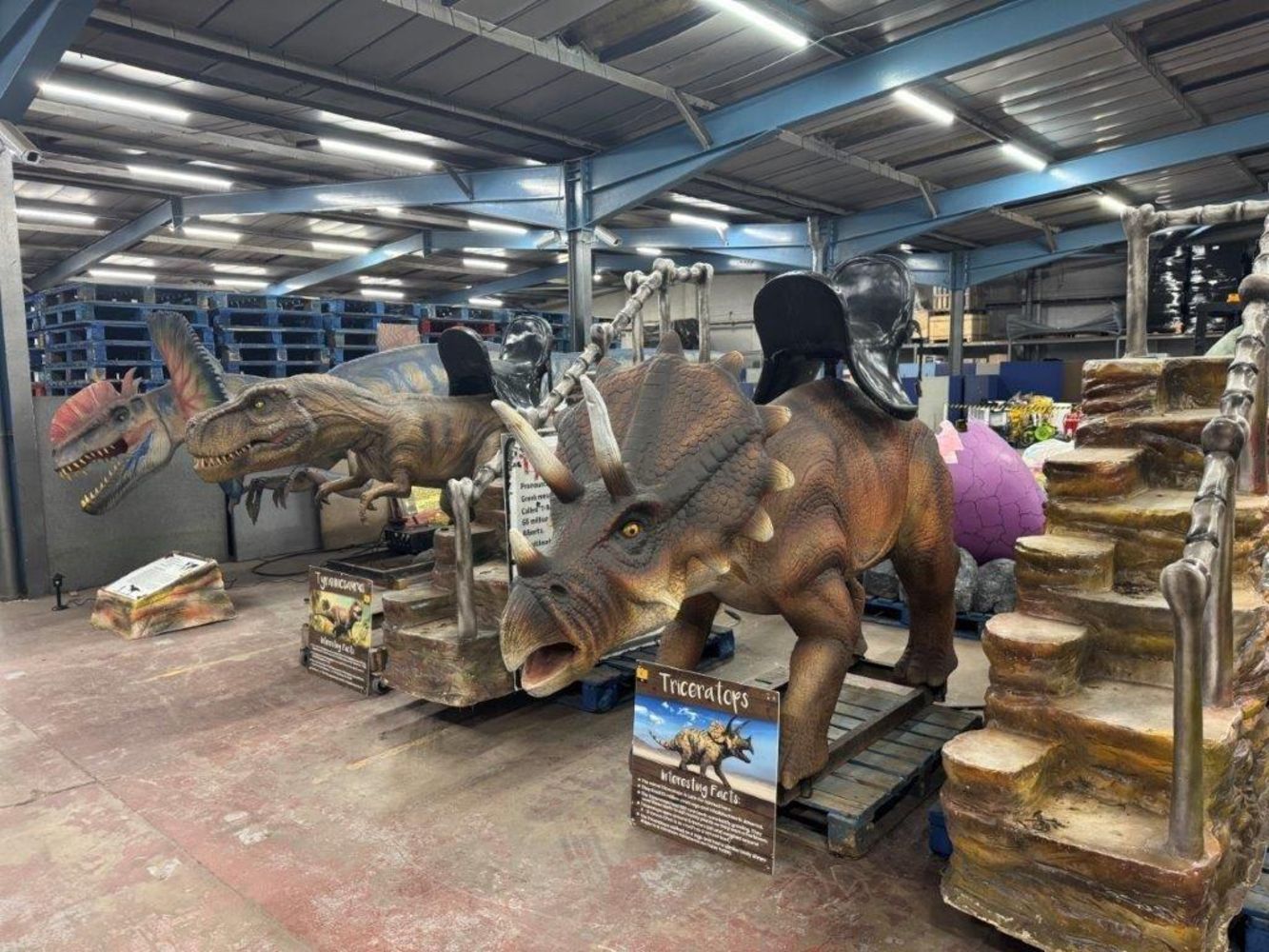Robson Kay Associates Ltd | Animatronic Dinosaurs, Cafe Tables & Chairs ...