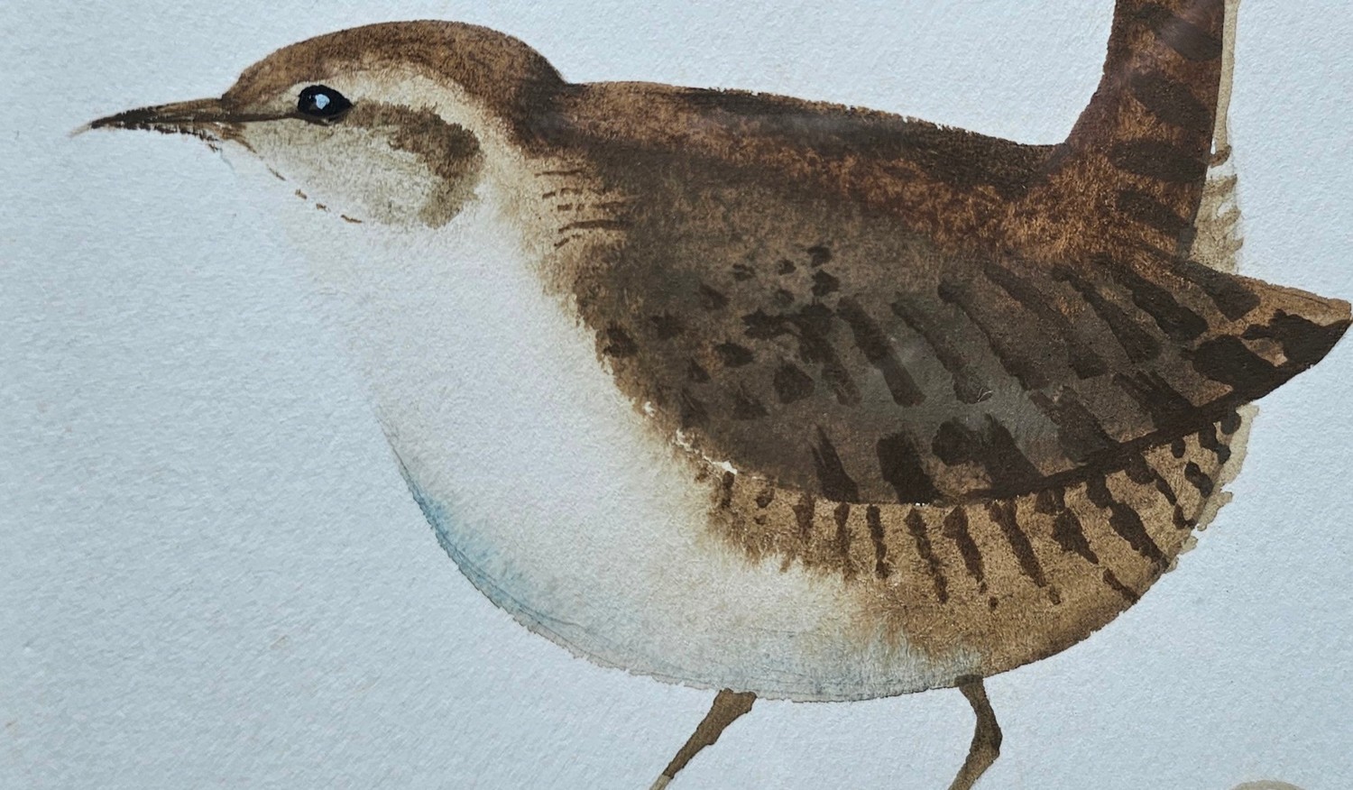 MARY FEDDEN, R.A., BRITISH, 1915 - 2012, WATERCOLOUR/GOUACHE Wren and ...