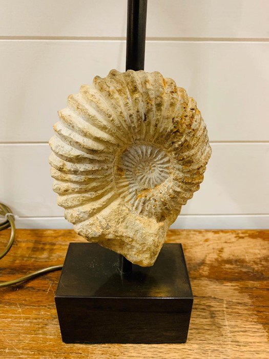 An original ammonite fossil lamp