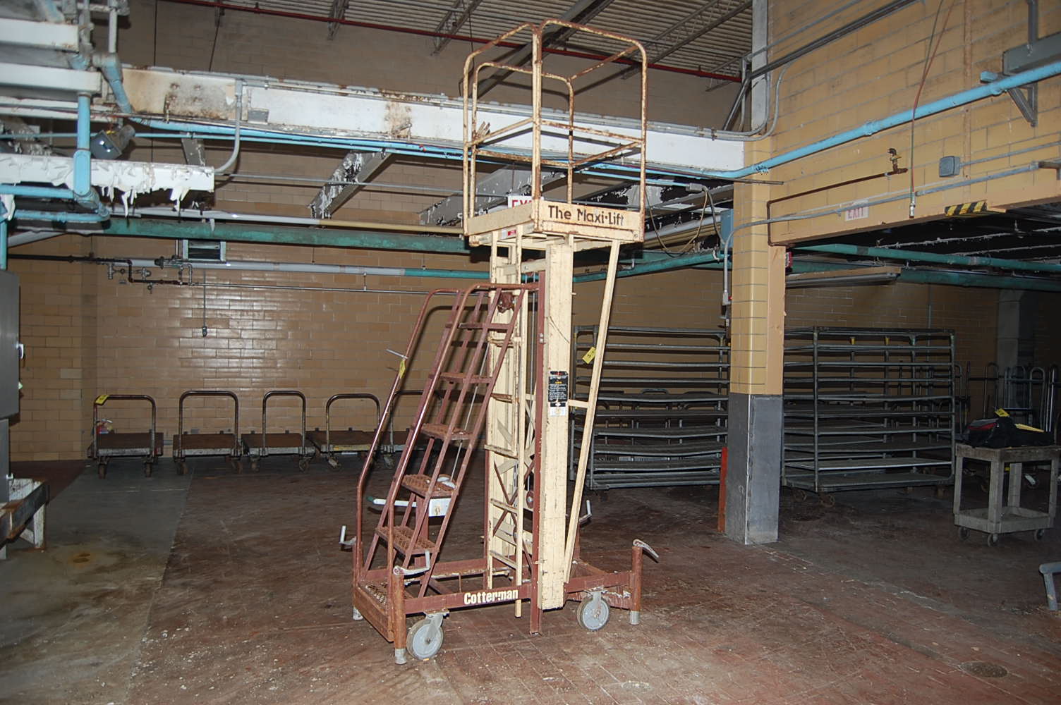 Cotterman the Maxi - Lift Manual Platform Lift, Rated 300 lbs. Capacity ...