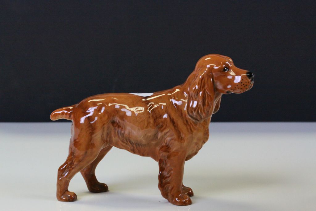 Beswick ceramic English Setter "Horseshoe Primula", a Beswick St ...