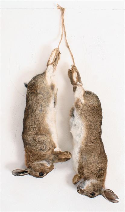 A Pair Of Taxidermy Hanging Dead Rabbits Original Film Props Used ...