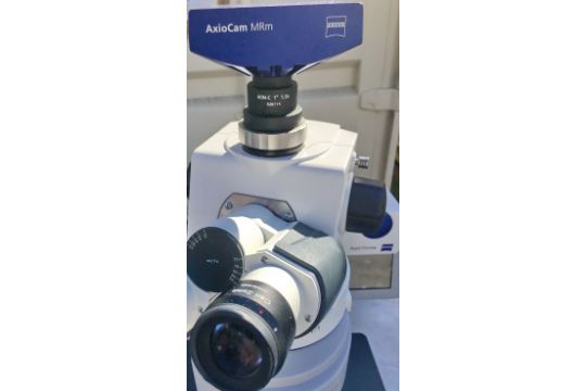 Zeiss AX10 Upright Research Microscope for Advanced Imaging with ...