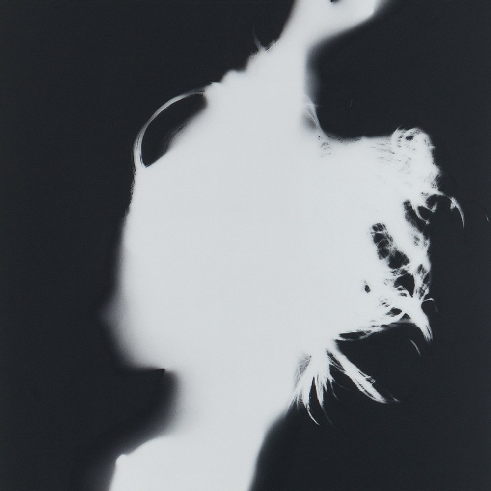 Floris Michael Neusüss (b. 1937), Lambda Print, Nudogram, 1969 Lambda ...