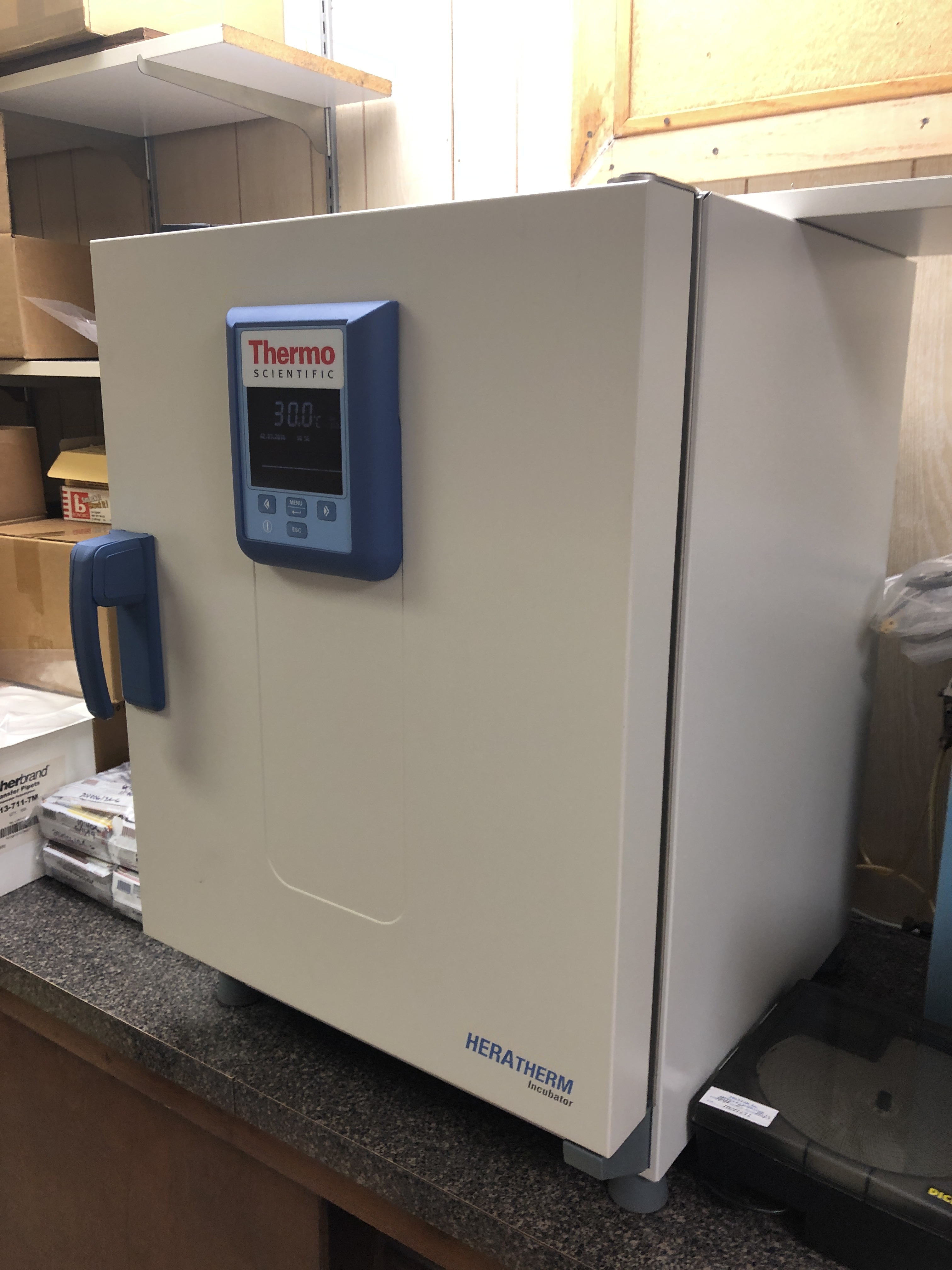 Thermo Scientific Heratherm Incubator