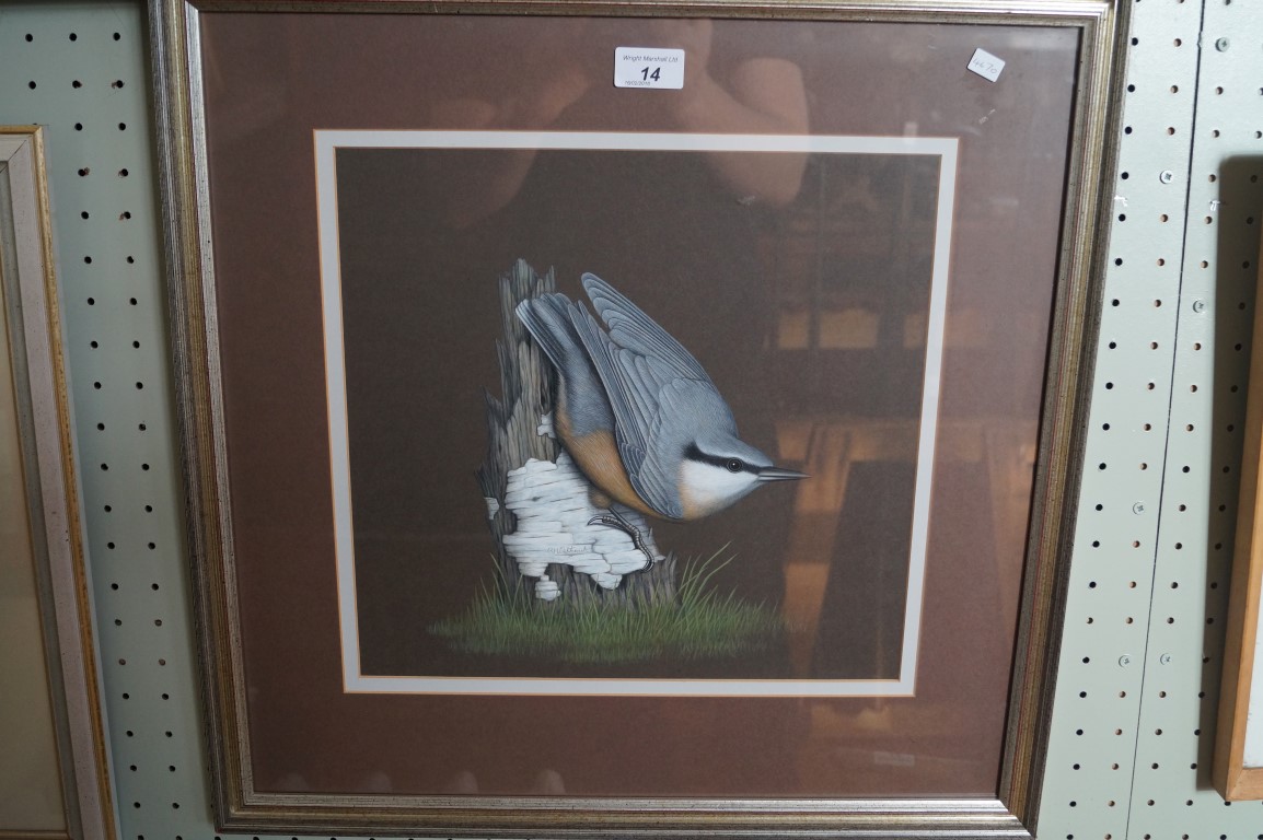 R.H. Petherick watercolour depicting a Nuthatch.
