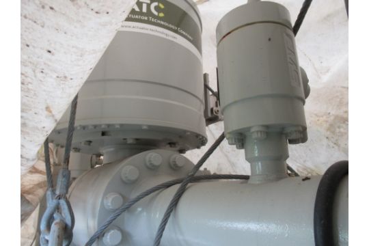 LOT CONSISTING OF: complete valve assembly, boarding valve access deck ...