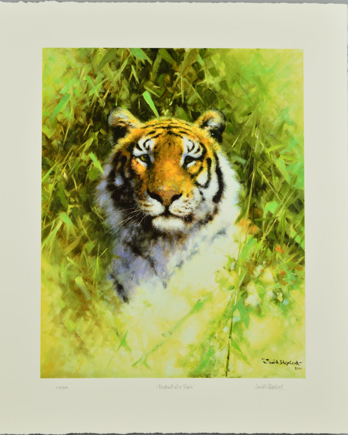 DAVID SHEPHERD (BRITISH 1931-2017) 'PORTRAIT OF A TIGER' a limited ...