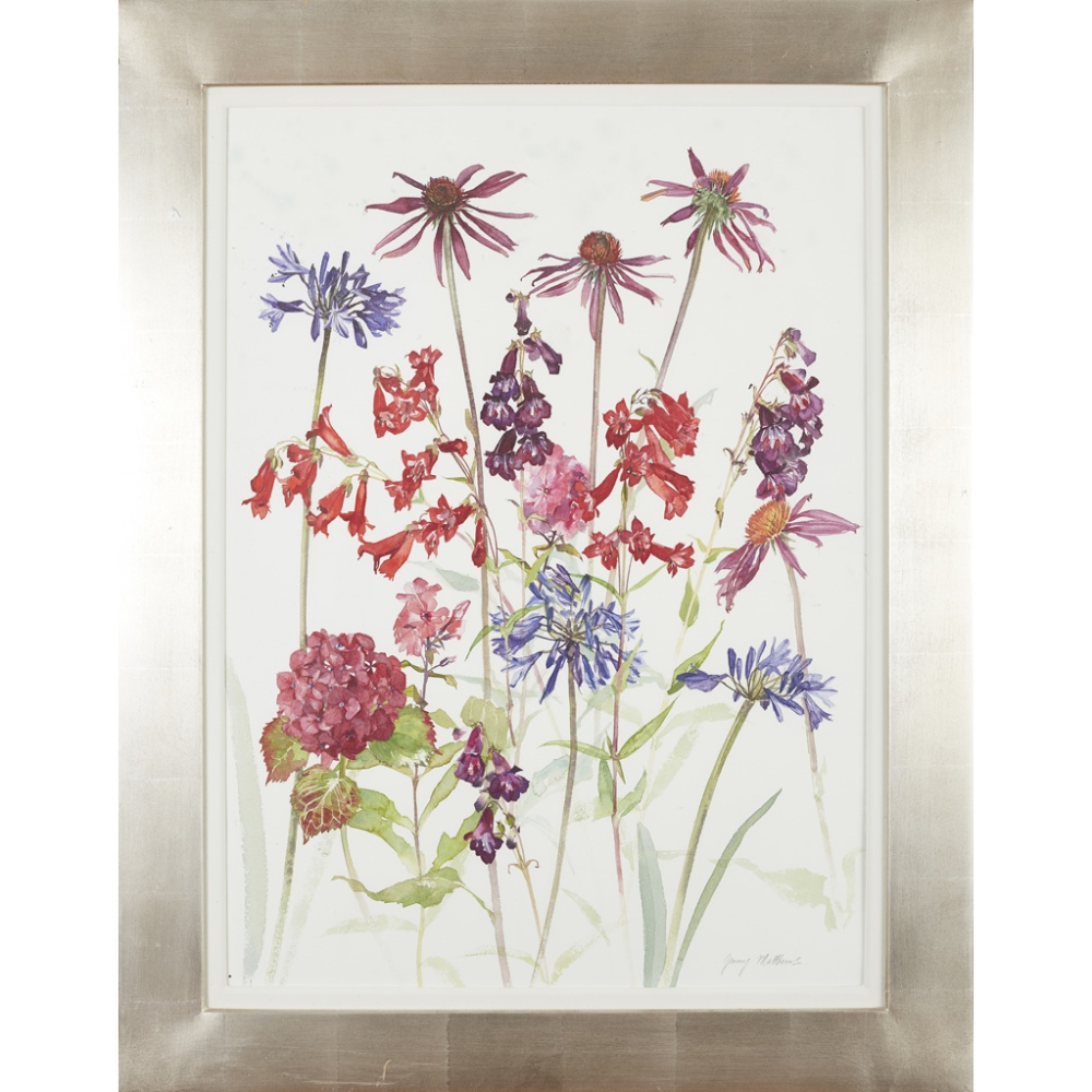 JENNY MATTHEWS (SCOTTISH B.1964) ECHINACEA Signed, watercolour 72cm x ...