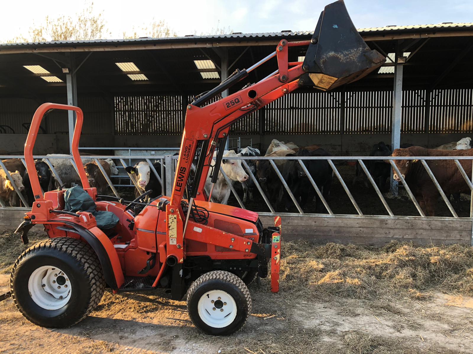 DS - GOLDONI COMPACT TRACTOR WITH LEWIS FRONT LOADER *PLUS VAT* SHOWING ...