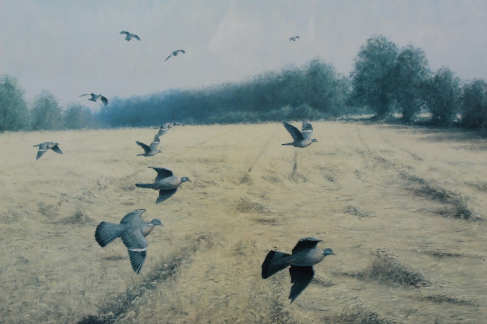 Julian Novorol (b.1949) two signed limited edition game bird prints ...