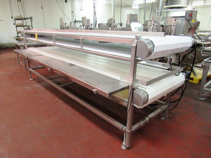 Double Conveyor, 36" W X 14' L plastic belt, 12" between belts, 14" W X ...
