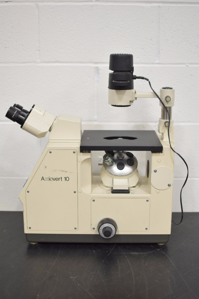 Zeiss Axiovert 10 Microscope, Model: Axiovert 10(1) Microscope ...