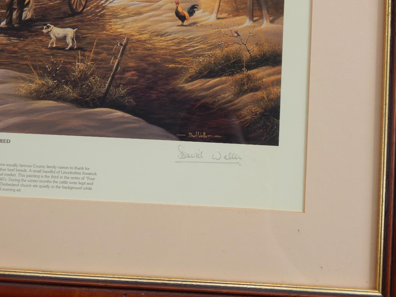 David Waller (20thC). Home of the Lincolnshire Red, artist signed ...
