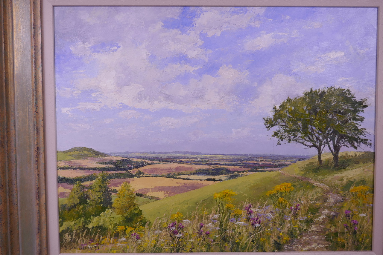 Brian Bennett, oil on canvas, rural landscape with wild flowers, titled ...