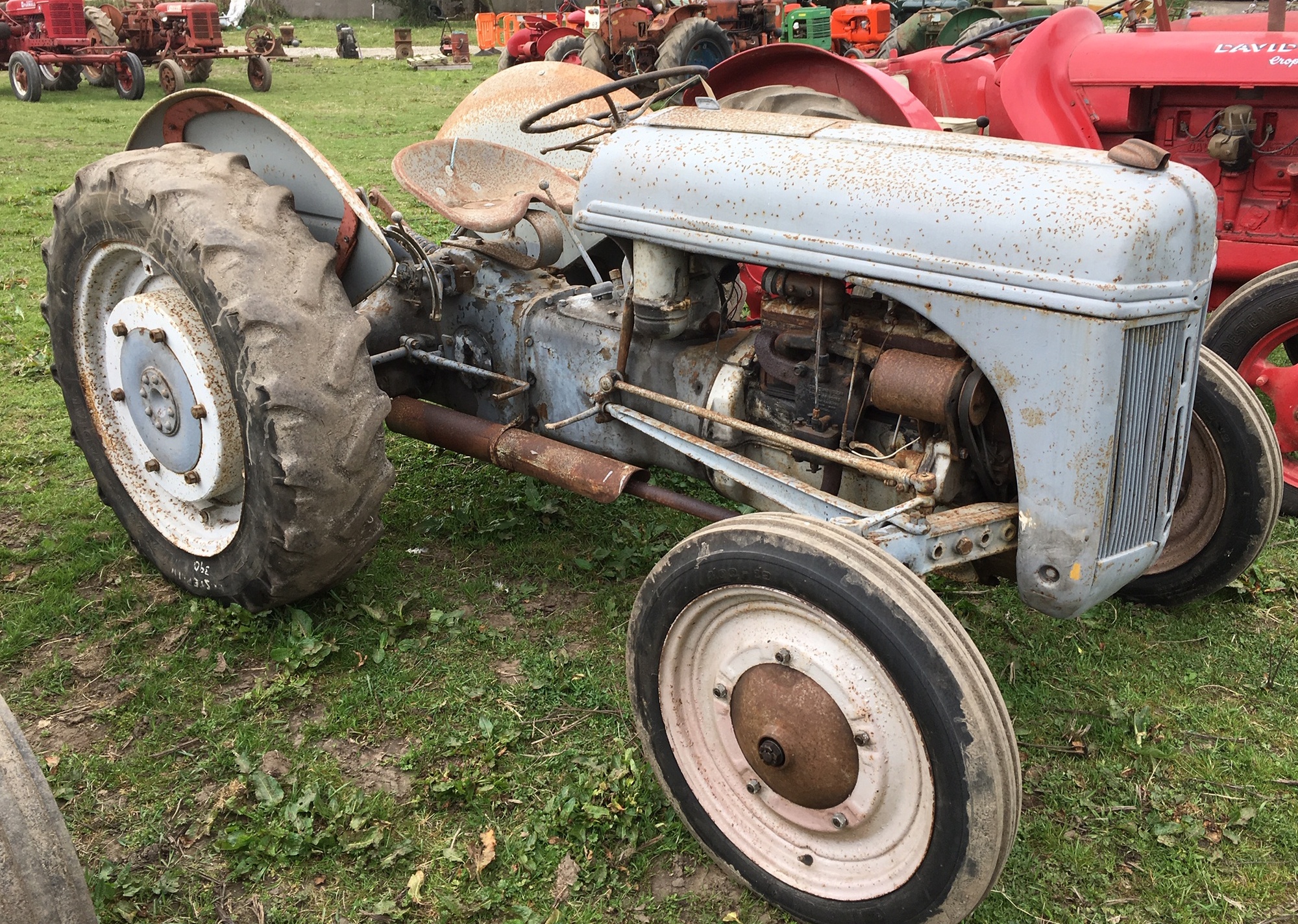 Ford Ferguson Tractor.