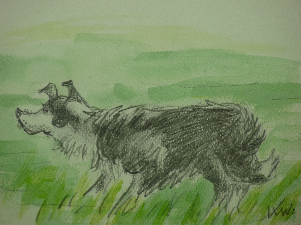 SIR KYFFIN WILLIAMS RA watercolour and pencil - stalking sheepdog ...