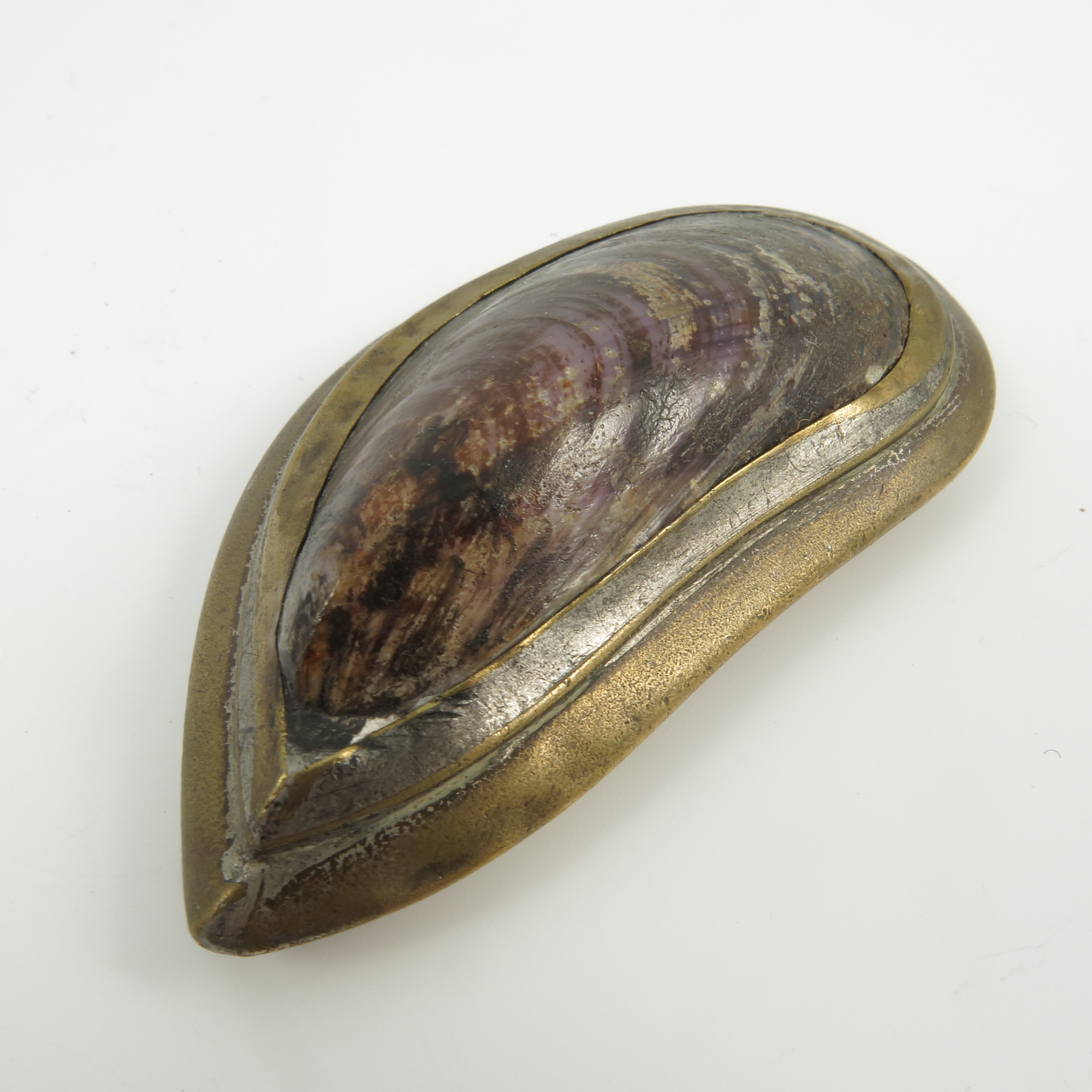 A mussel shell and silver plated snuff box, width 3ins