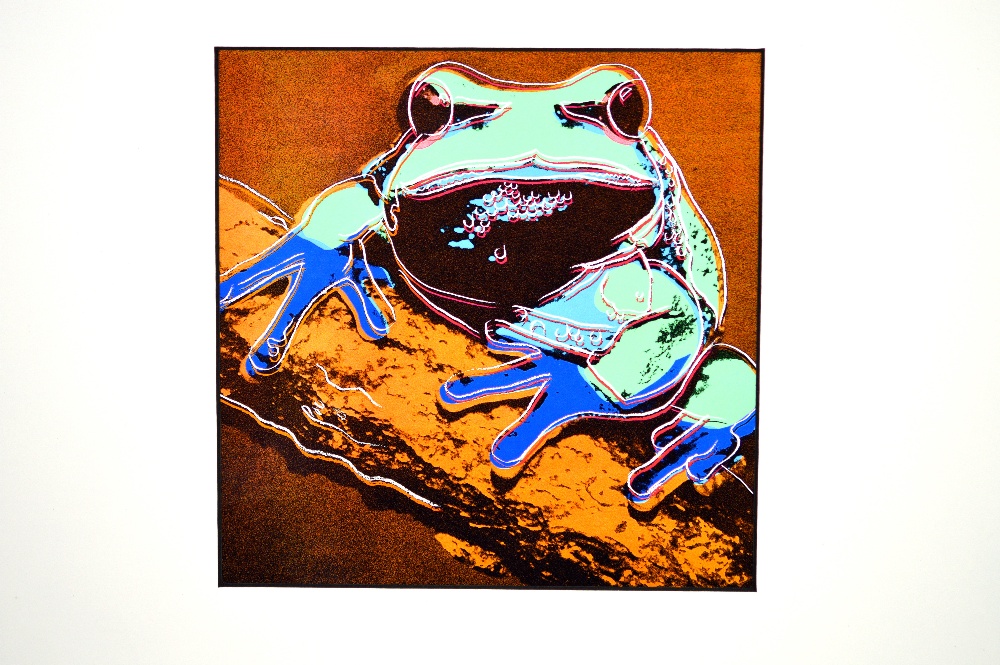 Andy Warhol "Frog 1987" 20x 20 Ltd Edition 1000 Lithograph Postage only ...