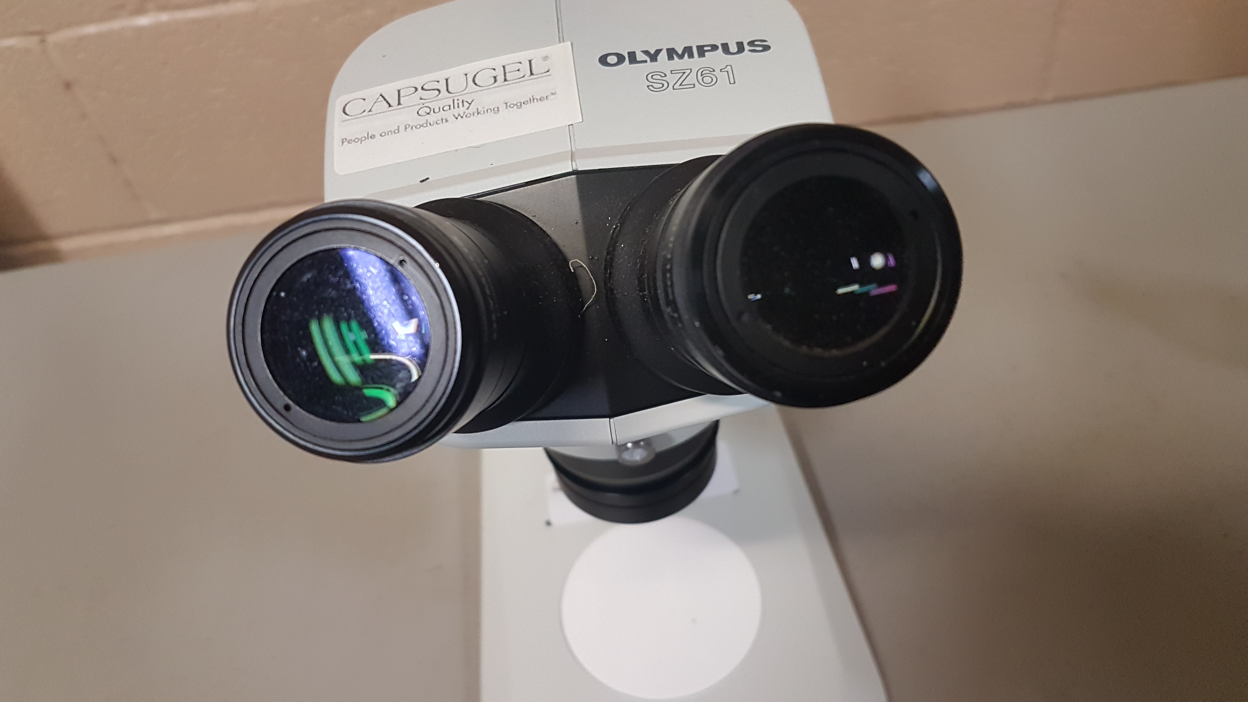 Olympus bifocal microscope, model SZ61.