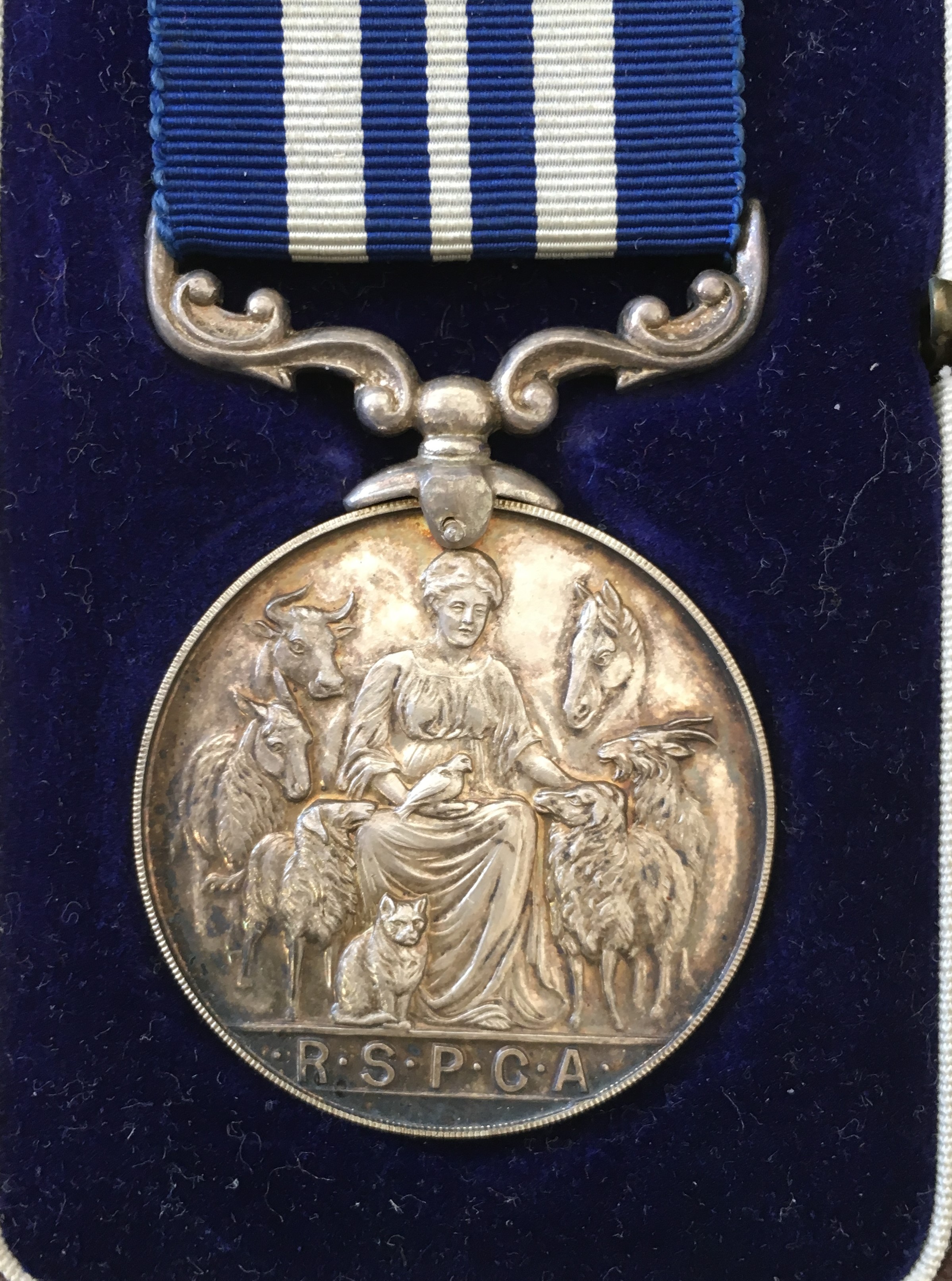 TWO CASED MEDALS - ONE SERVICE MEDAL FOR R.S.P.C.A. AND ANOTHER WITH ...